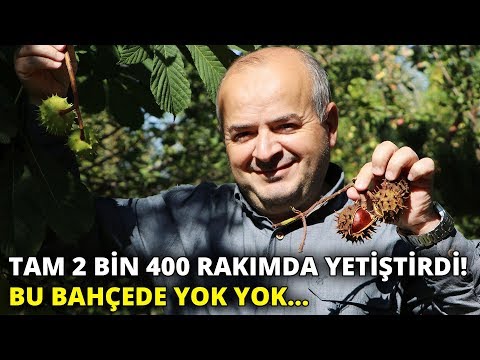 2 bin 400 rakımda 13 çeşit meyve yetiştirdiler
