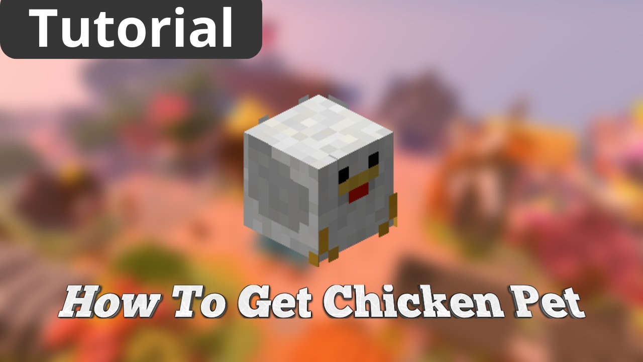 How To Obtain CHICKEN Pet in Hypixel Skyblock - YouTube