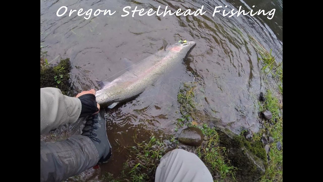 Winter steelhead fishing on the Oregon coast... FISH ON! - YouTube