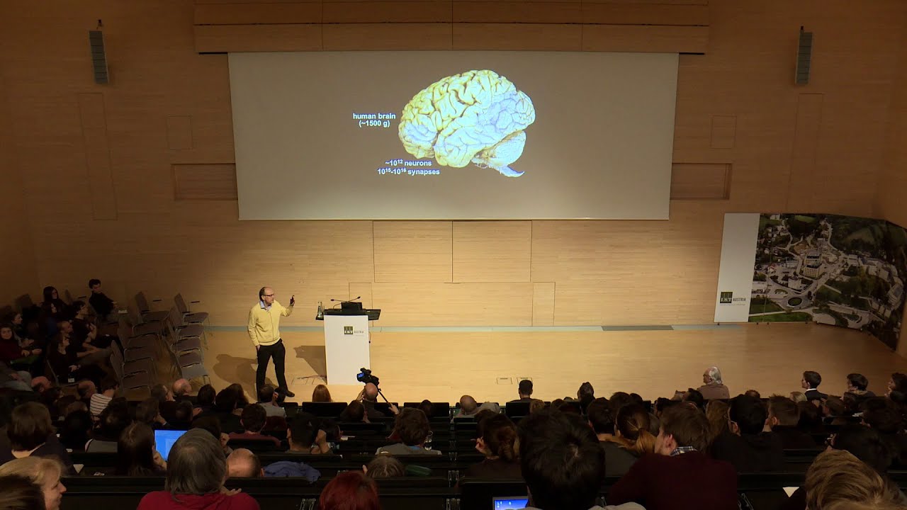 IST Austria Lecture "Towards a molecular logic of neural circuits" by ...