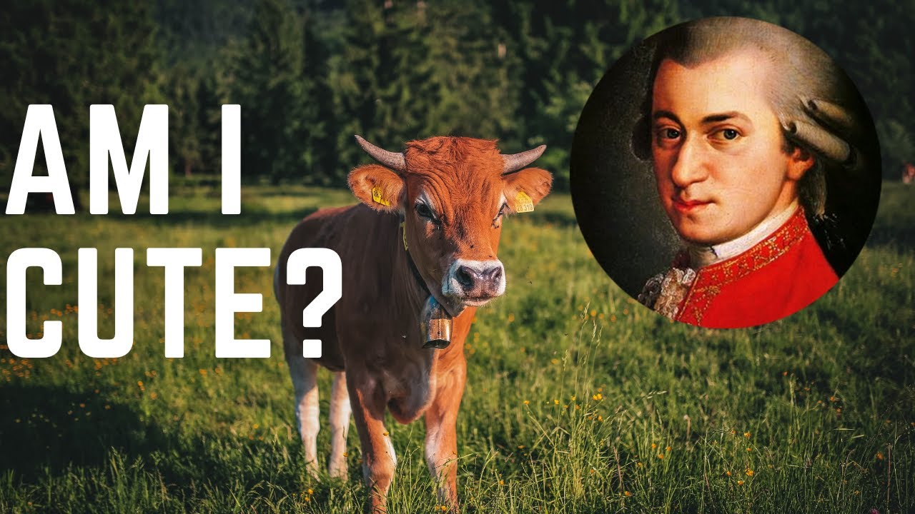 Classical Music and Cow Grazing. Piano Trio in G major, K 564 - III ...