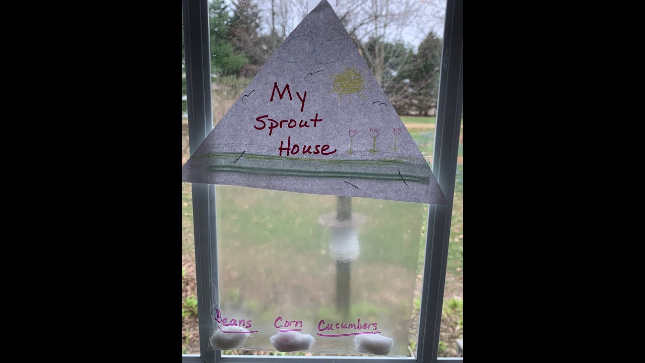 Sprout House Planting Day! - YouTube