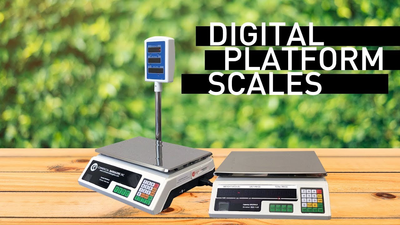 Digital Platform Scales | Getting Started With the Scale - Commercial ...