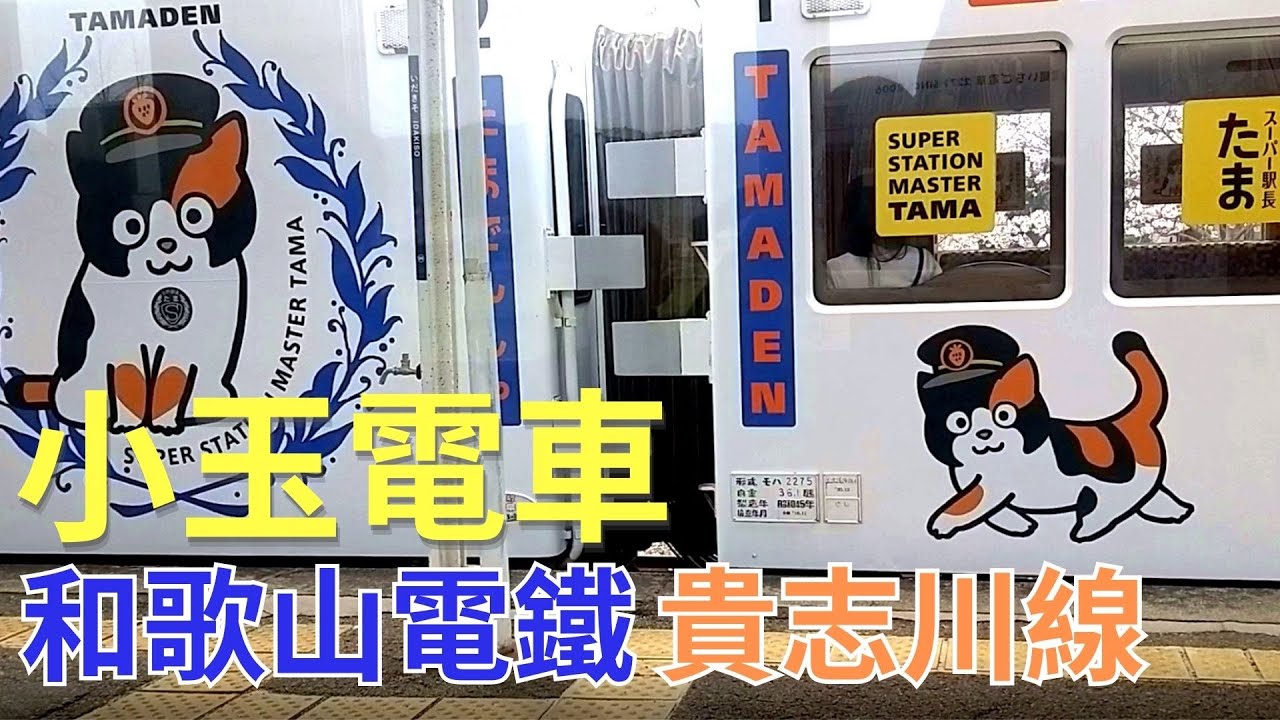 和歌山電鐵|貴志川線|貓迷必訪|小玉電車|草莓電車|梅星電車|日本鐵道之旅|大阪近郊|たま駅長|貓站長|日本自由行|日本關西|和歌山 貴志|貴志車站|日本觀光列車|小玉神社|二代玉|和歌山自由