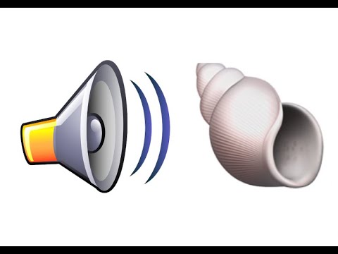 How Sea Shell 🐚 Really Sound (HD) - YouTube