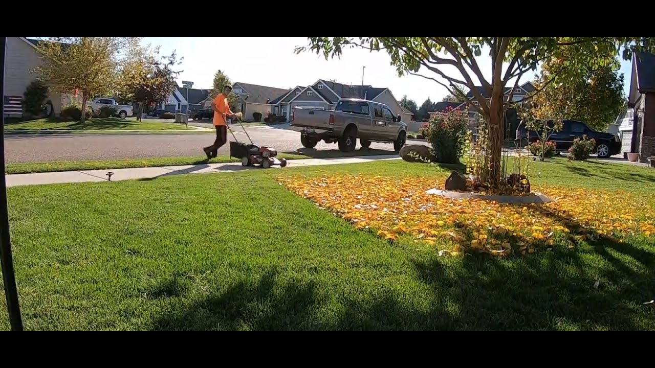 Cleaning Up My Messy Front Yard and Mowing the Back Yard - YouTube