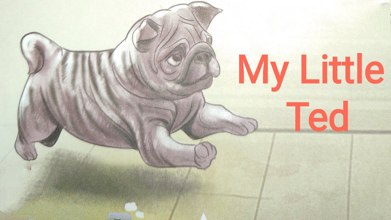 Class -3 | Lesson -2 My Little Ted | My Little Ted Explanation in Hindi ...
