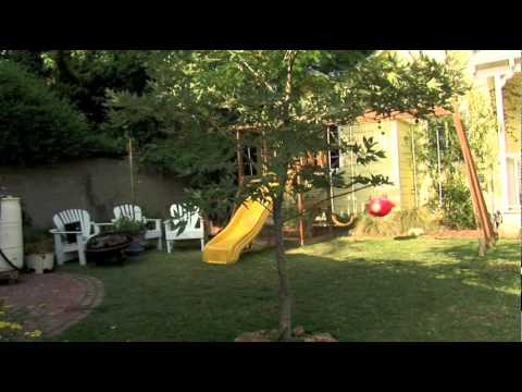 What Does Deciduous Mean In Landscaping