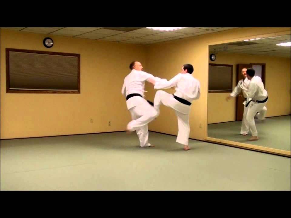 Reverse Punch Counter to Ribs - YouTube