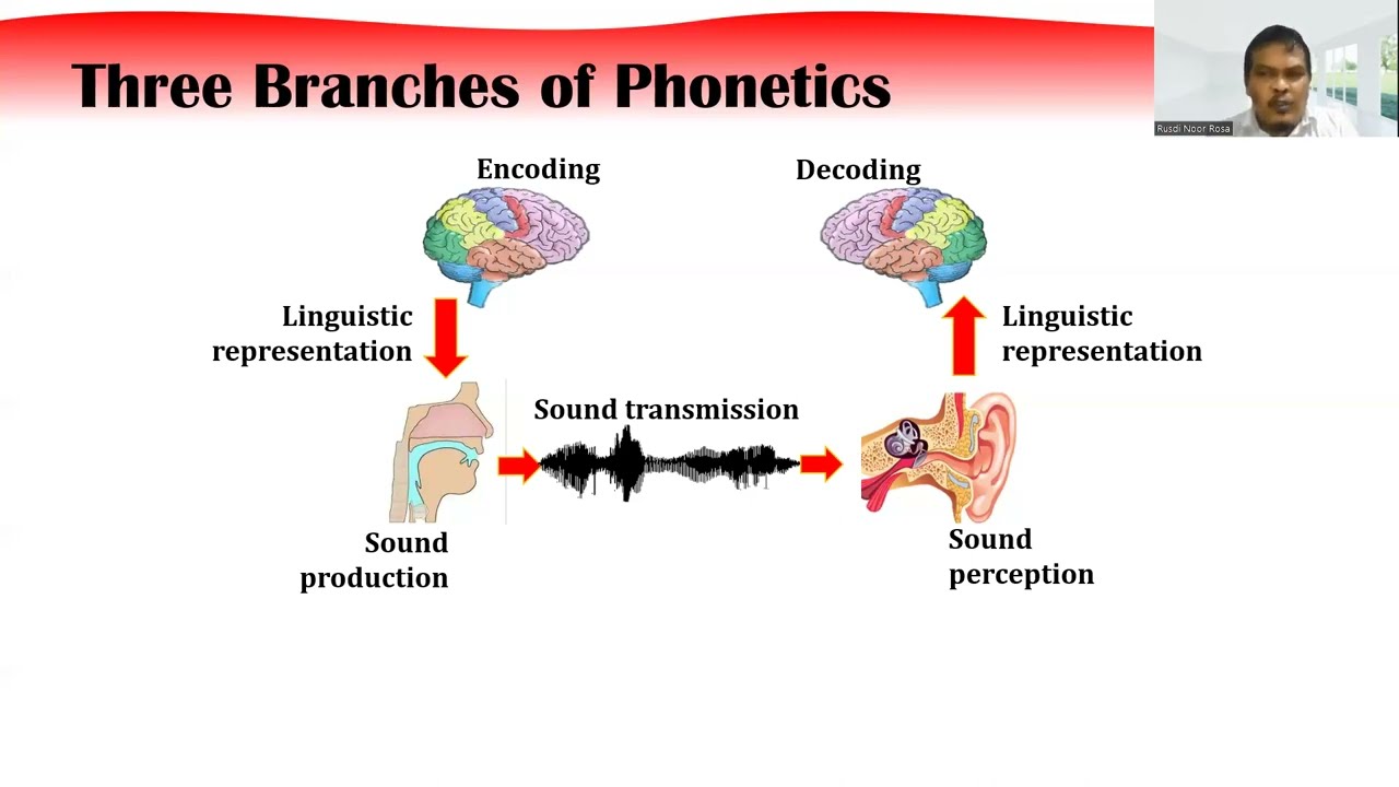 Introducing phonetics - YouTube