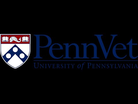 PennVet - Virtual Tour 2020