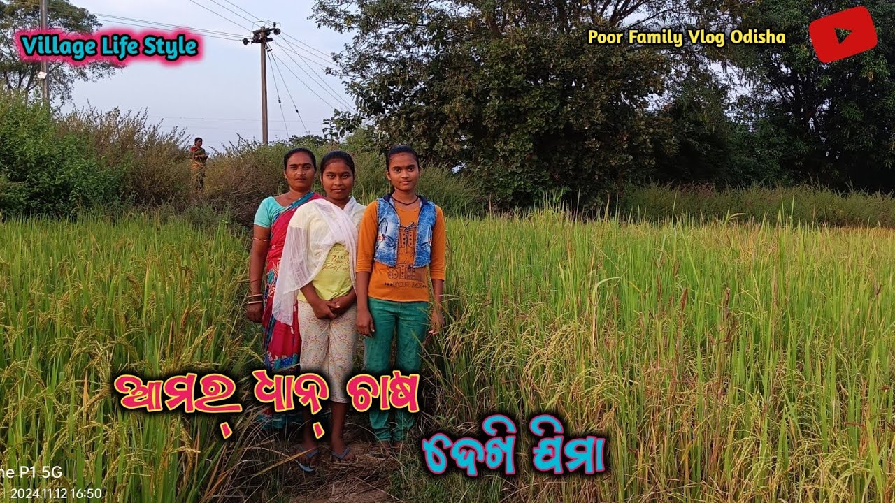 Village Life in Orissa || Odisha Family Vlog || Odisha Rural Village ...