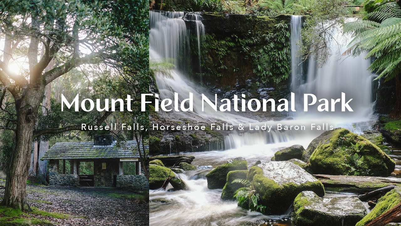 Forest Photo Walk at Mount Field National Park - YouTube
