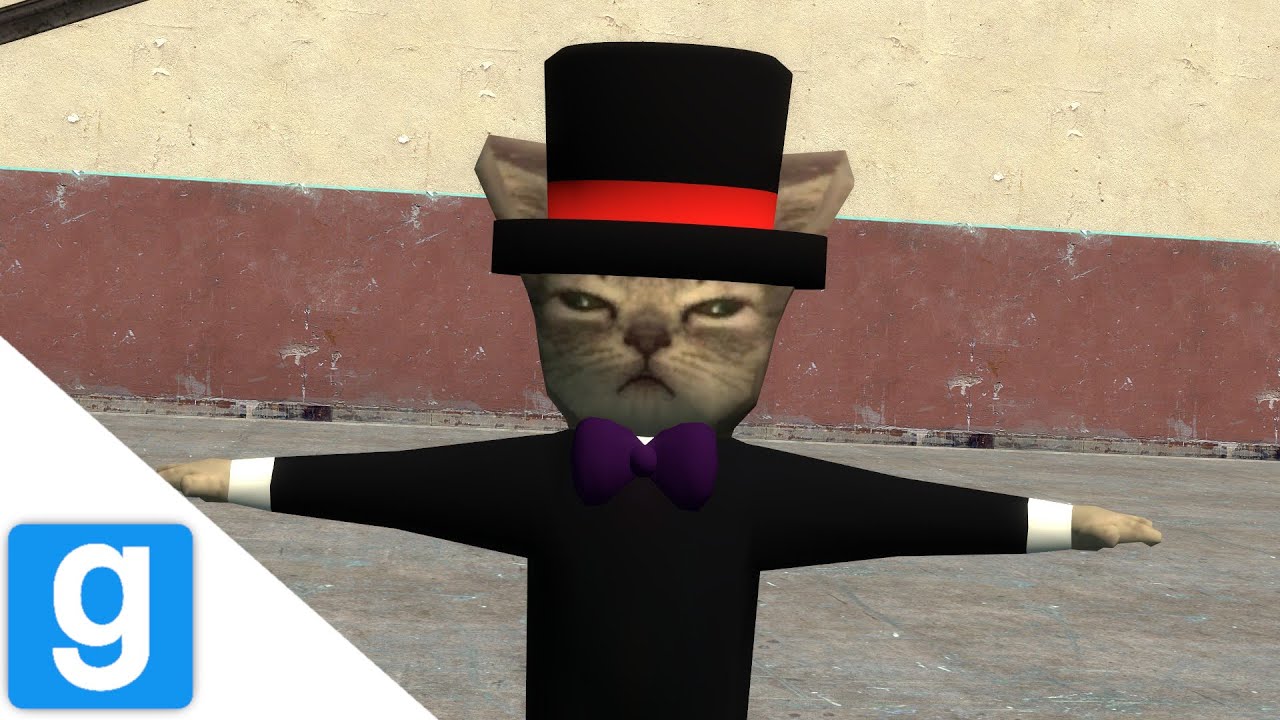Garry's Mod Model: Disgusted Cat - YouTube