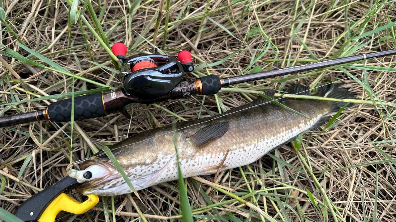 SHIMANO SLX DC XT 71 2022 FIRST RUN - YouTube