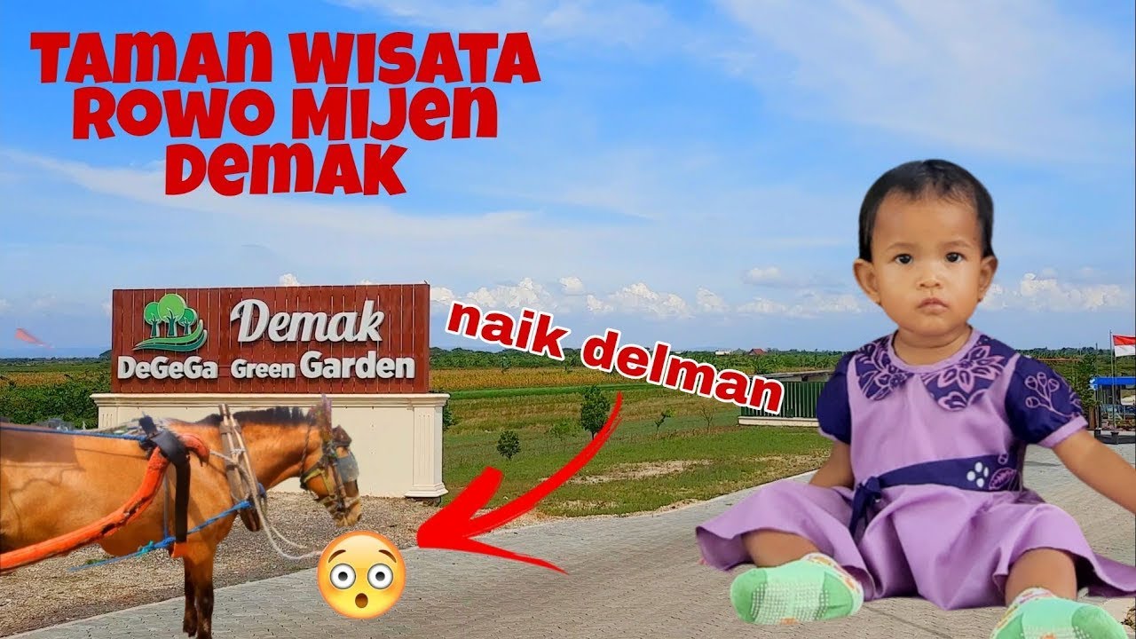 TAMAN WISATA ROWO MIJEN NAIK DELMAN DAN PERAHU | DEMAK GREEN GARDEN ...