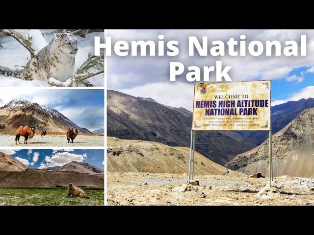 Hemis National Park Map
