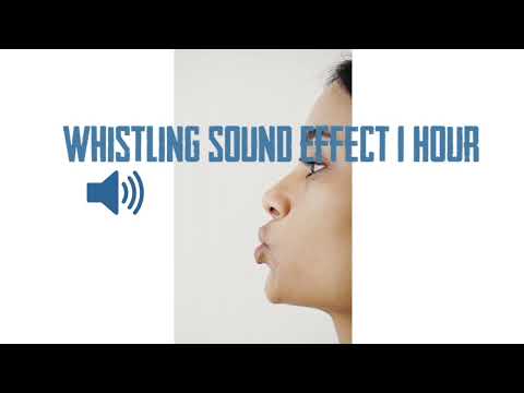 WHISTLING SOUND EFFECT (1 HOUR)
