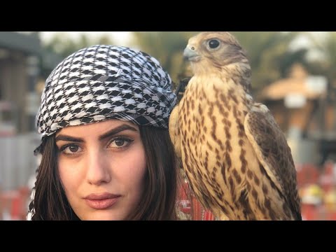 Cavanşir Memmedli - Lezzet eliyir mene