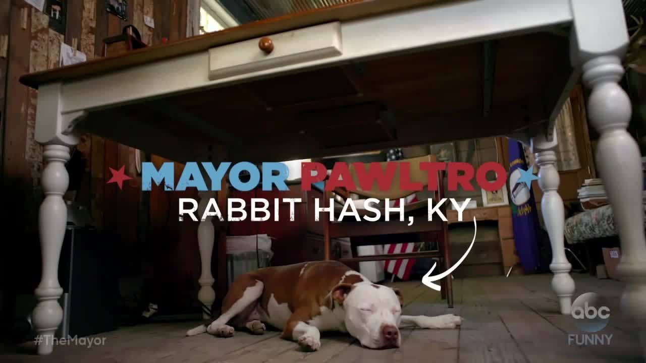 Another ABC commercial features Rabbit Hash's dog mayor - YouTube