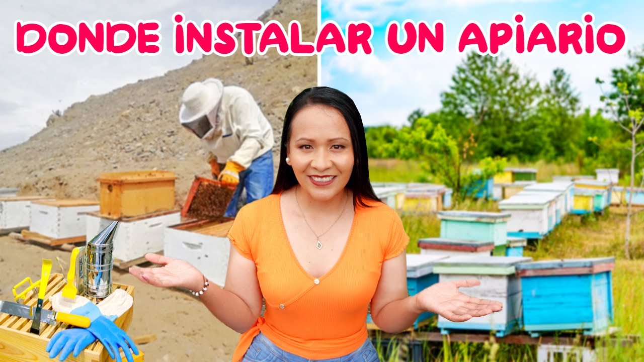Construyendo un apiario Paso a Paso | Dreis Bee 💛 - YouTube