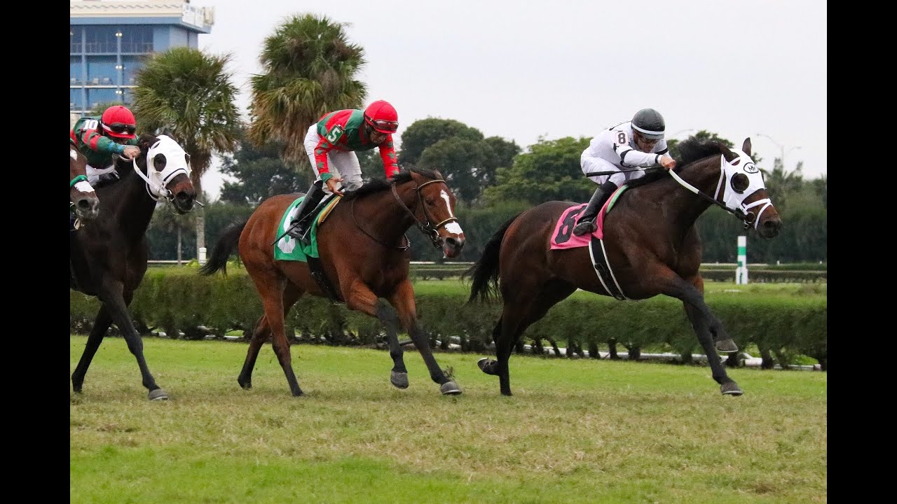GP West Resumen - 17 de Noviembre 2019 - YouTube