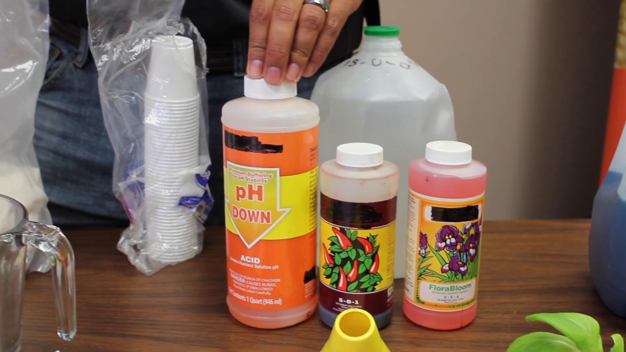 hydroponics water solutions - YouTube