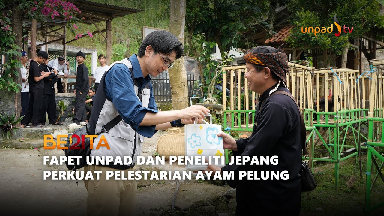 FAPET UNPAD DAN PENELITI JEPANG PERKUAT PELESTARIAN AYAM PELUNG - YouTube