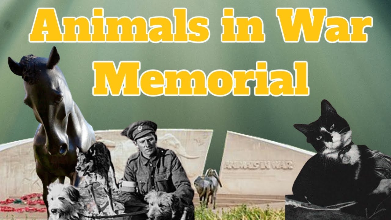 # 30 - Animals in War Memorial Explained (London, UK) - YouTube