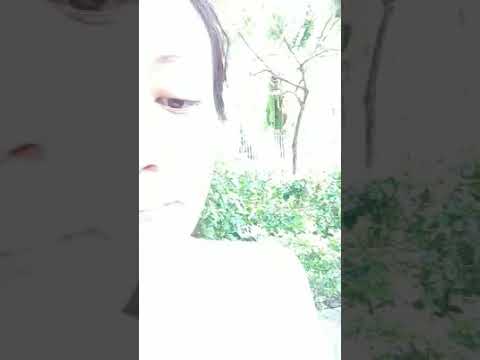 Siang siang main di gubuk