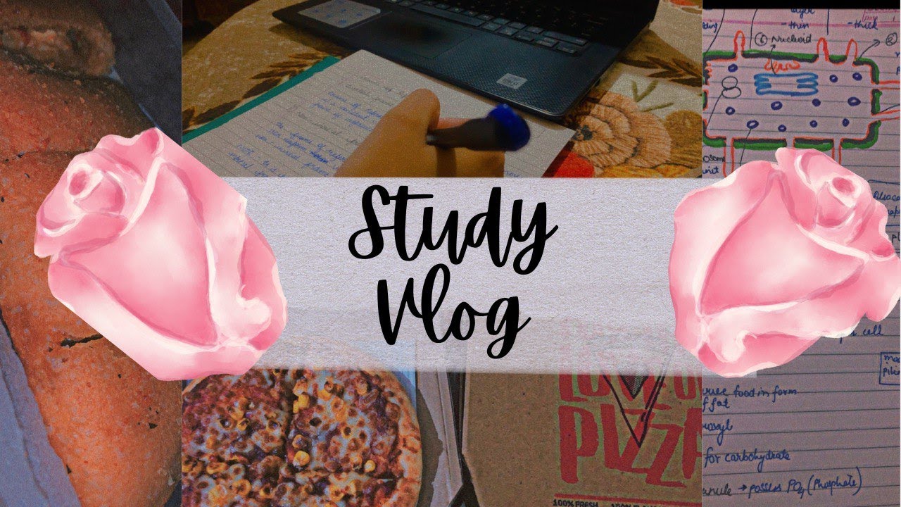 STUDY VLOG🌱| DAY OFF FROM SCHOOL+HECTIC AFTER SCHOOL| MEDICAL STUDENT ...