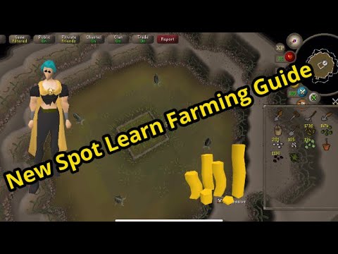Farming Guide (OSRS) - YouTube