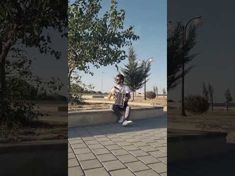 Qarmonda Ağlama Vasif İlqaroğlu