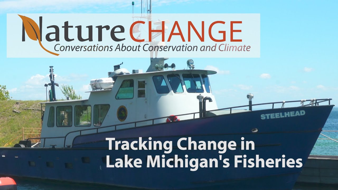 Tracking Changes in Lake Michigan's Fisheries - YouTube