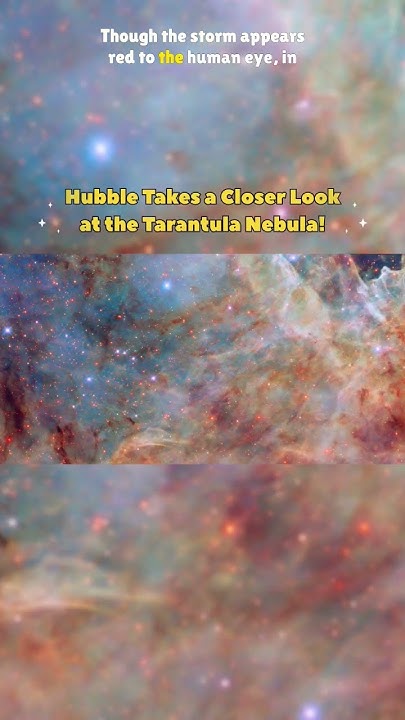 Hubble Telescope Studies the Tarantula Nebula's Outskirts #soulspeaks #astronomy #universe # ...