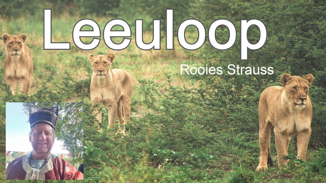 Leeuloop - YouTube