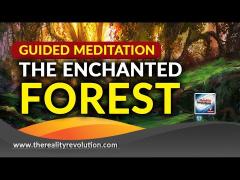Guided Meditation The Enchanted Forest - YouTube