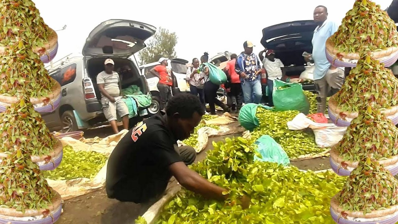 A LOOK AT THE KENYAN MIRAA AND JABA MARKET | NAIROBI NGARA [TSUNAMI ...