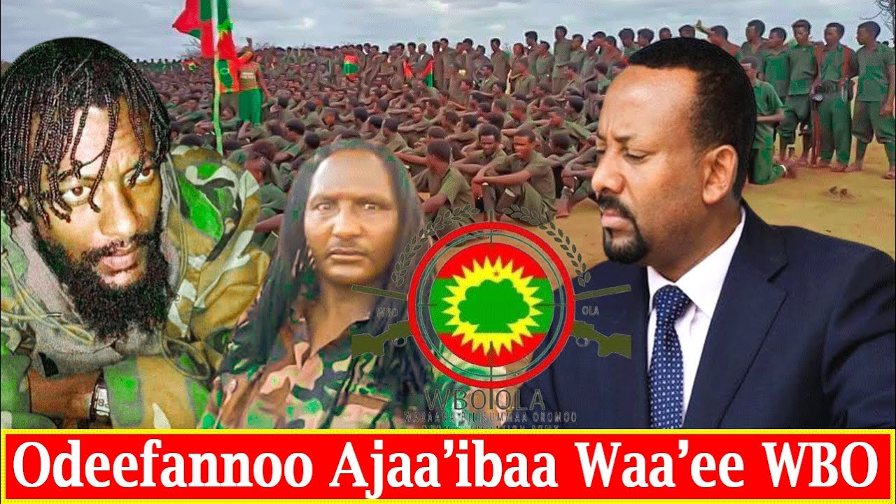 AGM:Mootummaan Ganamaa Galgala ABO Shanee Ni Balleessina Osoo Jedhuu ...