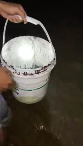 tahan bito ketam ragi - YouTube