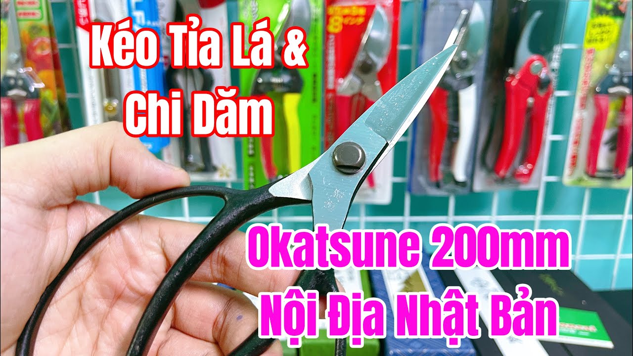 [ Tập 991 ] Kéo tỉa lá chi dăm Okatsune 200mm nội địa Nhật Bản - YouTube