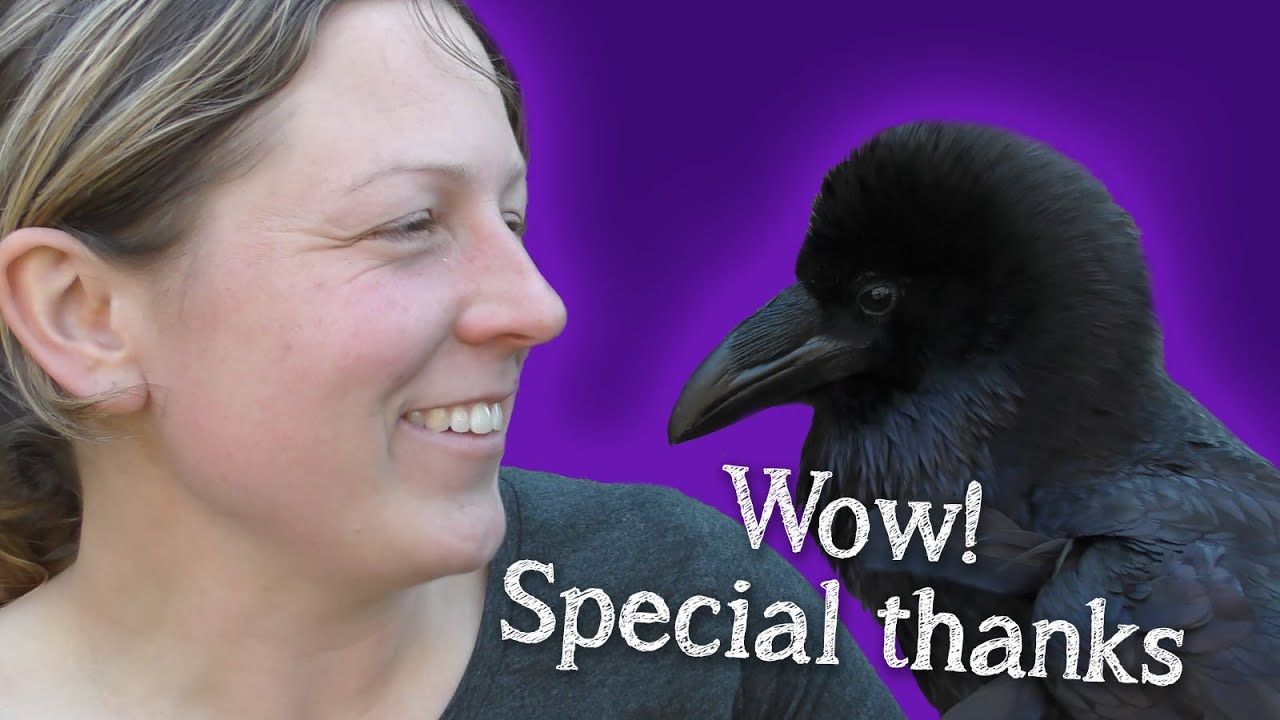 Fable the Raven | A special message from me and Fable! - YouTube
