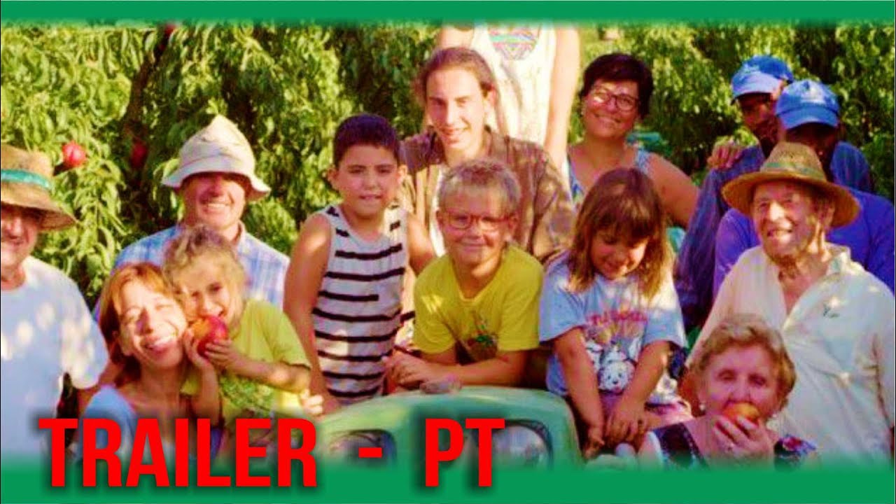 Alcarràs - Trailer Oficial - Legendado português PT - YouTube