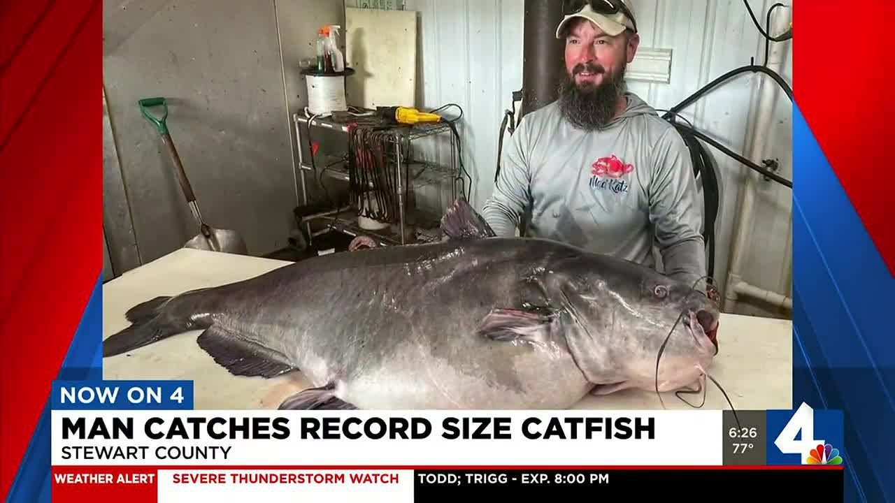Man catches record size catfish - YouTube