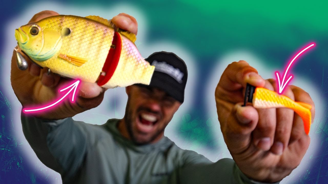 The ULTIMATE Murray Cod Lure Combination (River Fishing) - YouTube