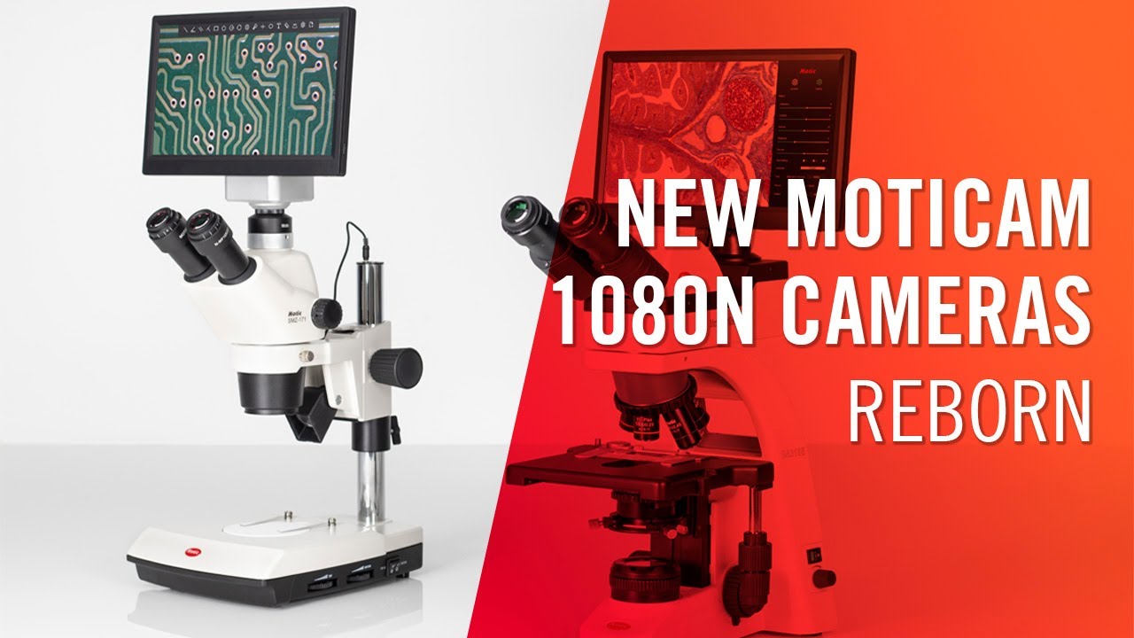New Moticam 1080N cameras - Reborn | by Motic Europe - YouTube