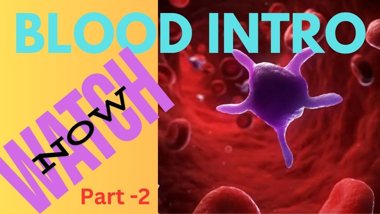 BLOOD INTRODUCTION | Components | Life Span | blood formation | bone ...
