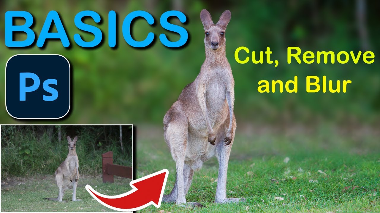 Photoshop Basics - clone stamp tool, blur tool, select tool - YouTube