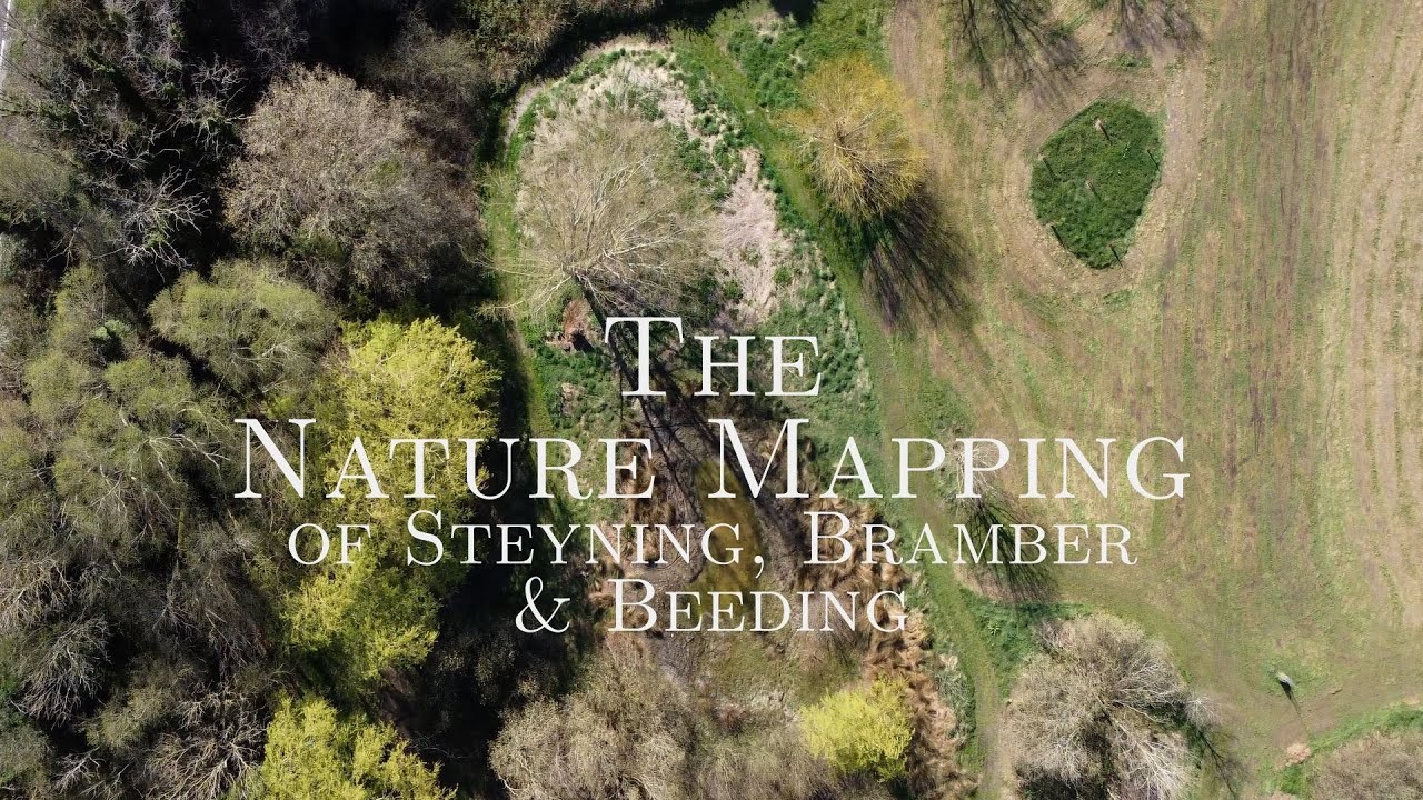 The Nature Mapping of Steyning, Bramber and Beeding - YouTube