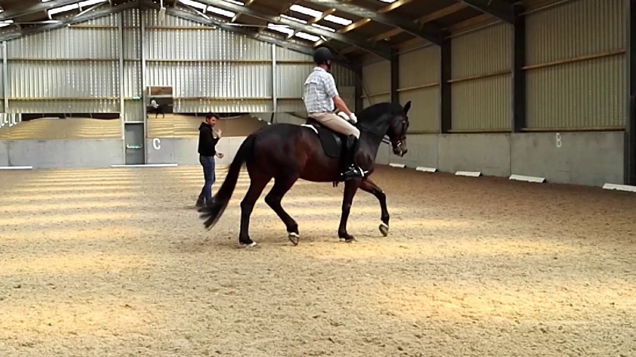 Flatwork lesson - YouTube